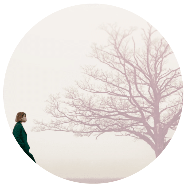 After the cyclone: webinar with Dr Dougal Sutherland | Umbrella ...