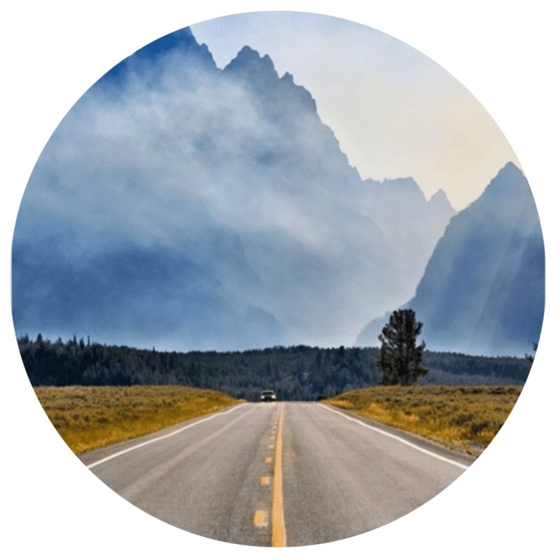 After the cyclone: webinar with Dr Dougal Sutherland | Umbrella ...